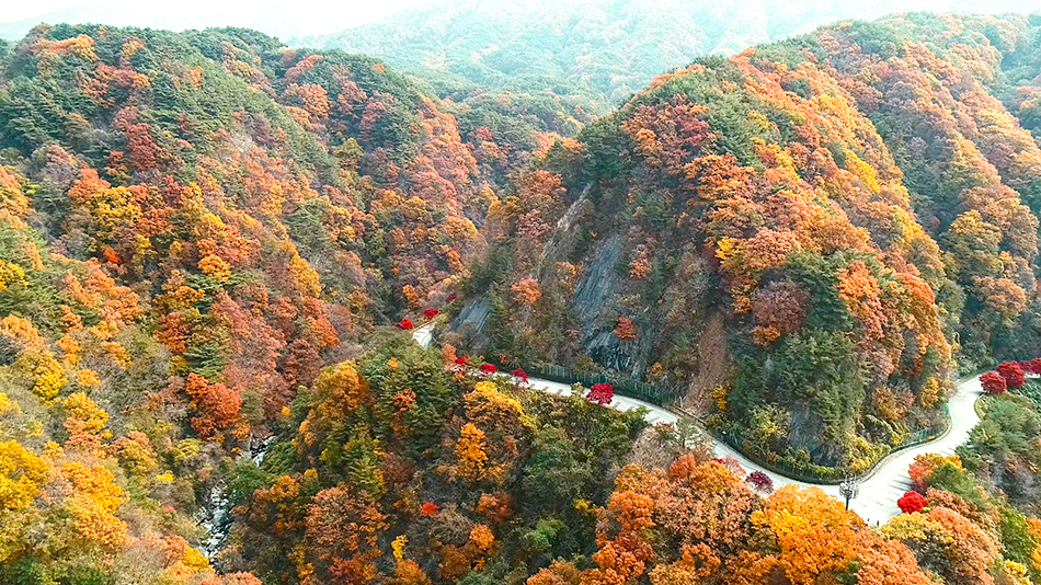 지리산 단풍길 '무료 투어버스'로 편하게 여행하세요